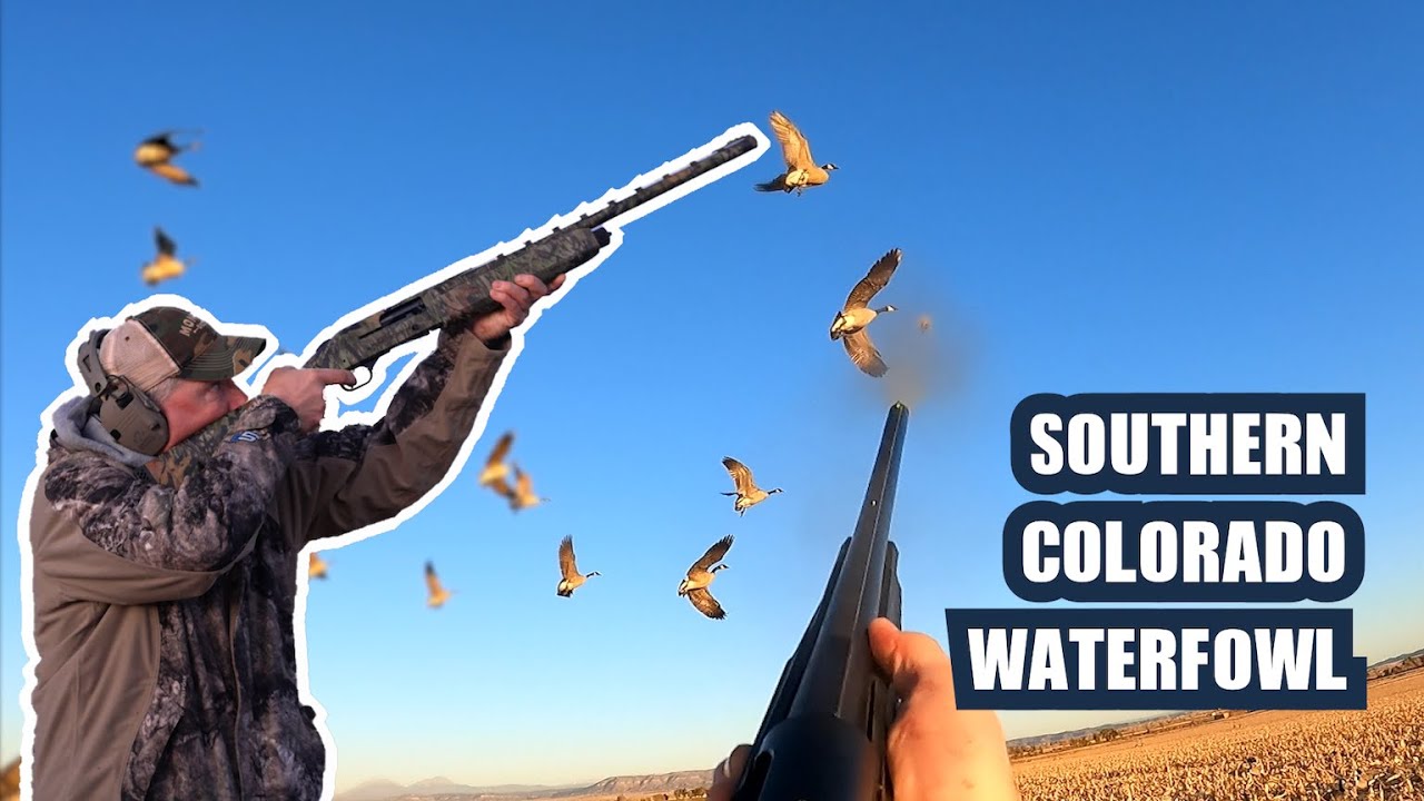 Waterfowl Hunting in Southern Colorado - YouTube