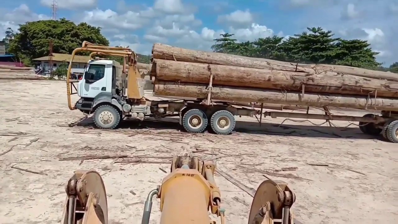 Logging kalimantan || bongkar muatan kayu log menggunakan wheel loader ...