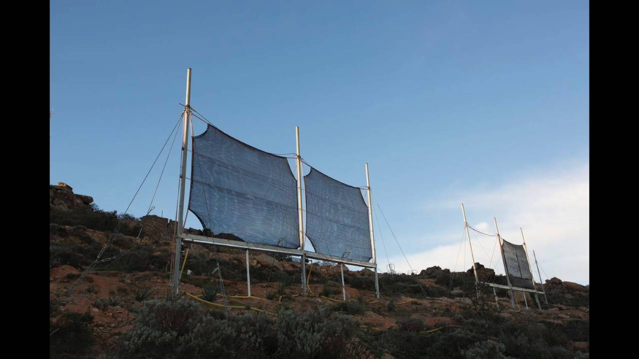 Oser l'avenir - Cloud Fisher - YouTube