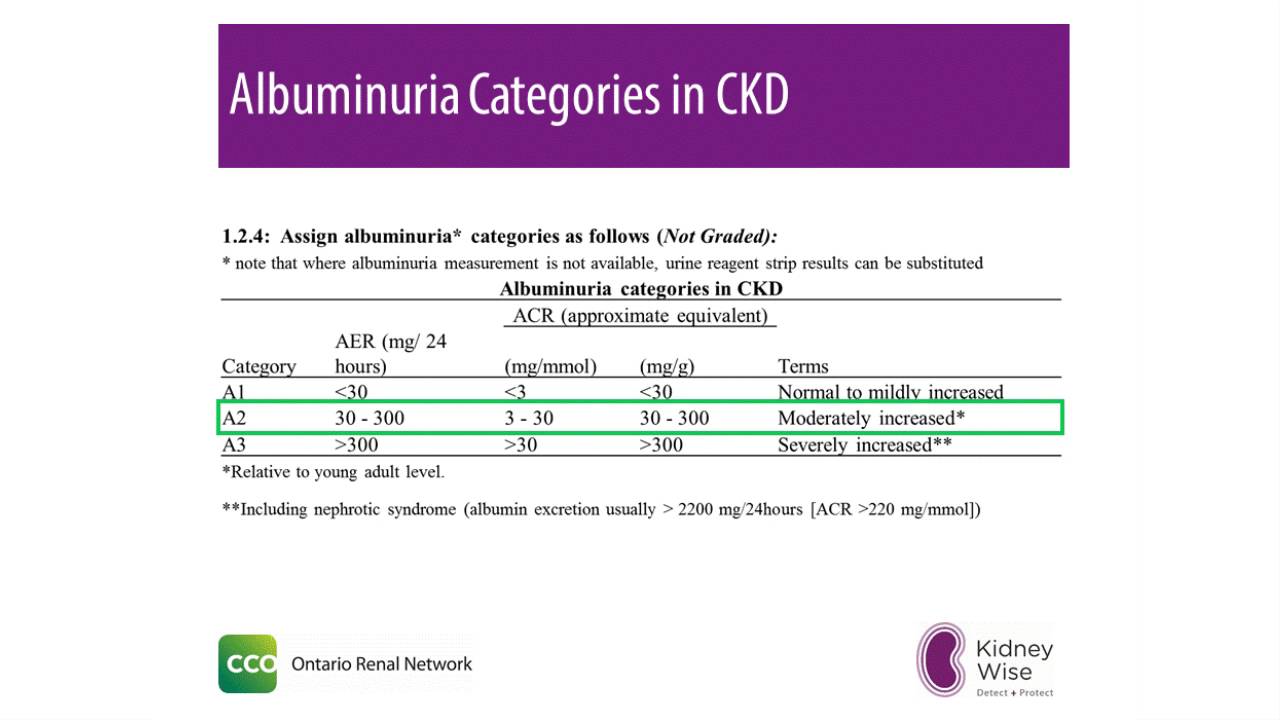 A practical look at the KidneyWise Clinical Toolkit - YouTube