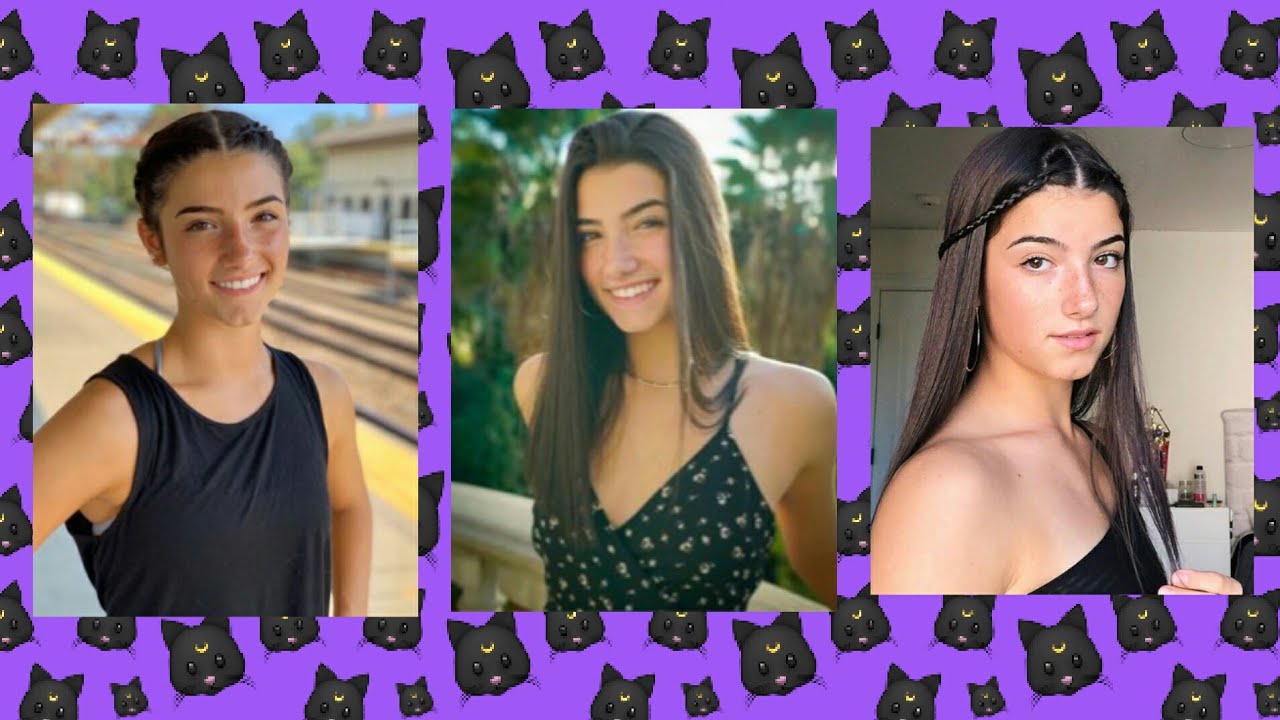 Tik tok "Charlie damelio ” mejores Tik toks (el canal de los Tik tokers ...
