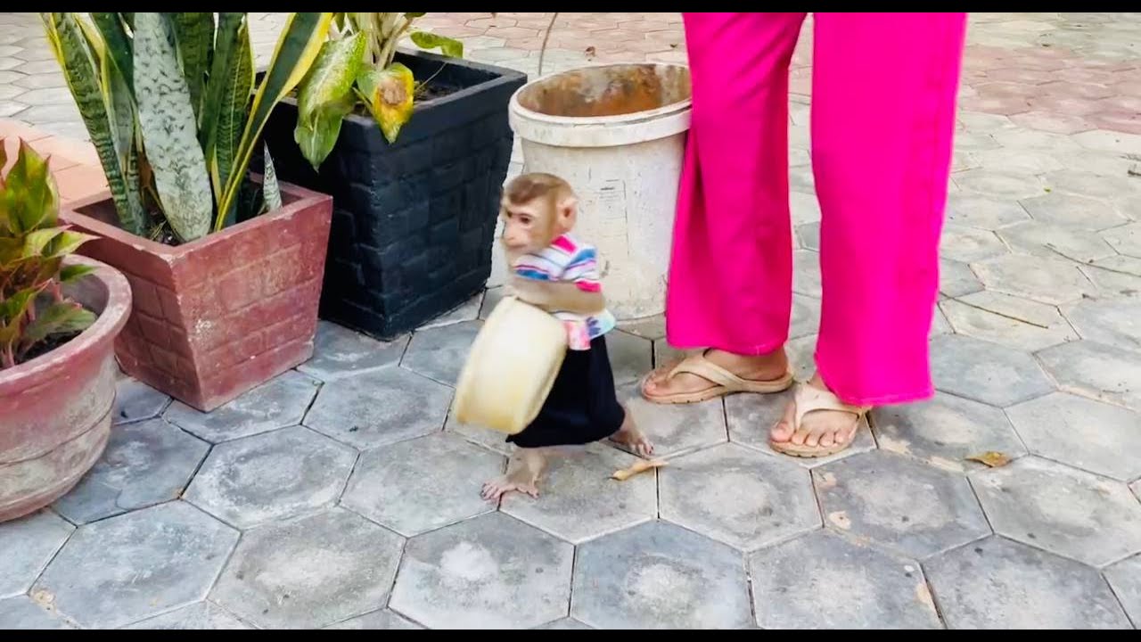 So Smrt ! Jasmine help mom take care her garden - YouTube