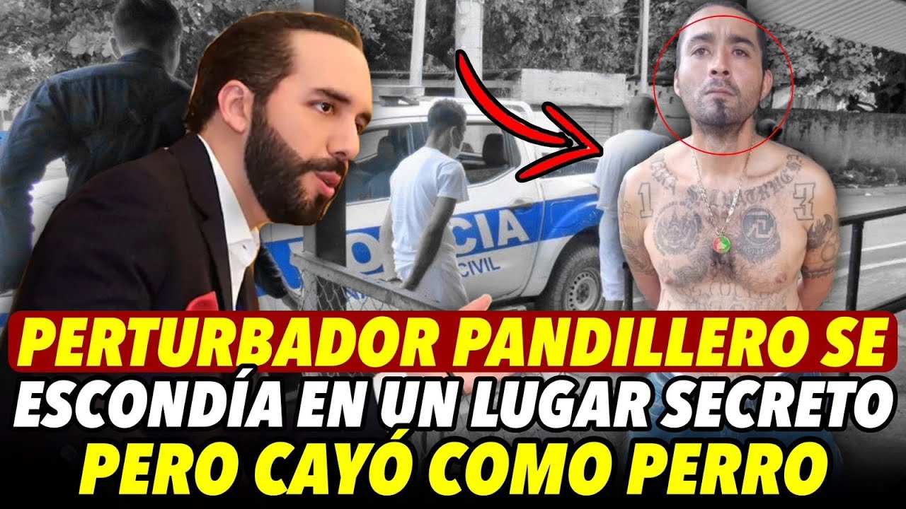 P3RTURBADOR PANDILLERO😱 Se escondió en un lugar secreto pero cayo como ...