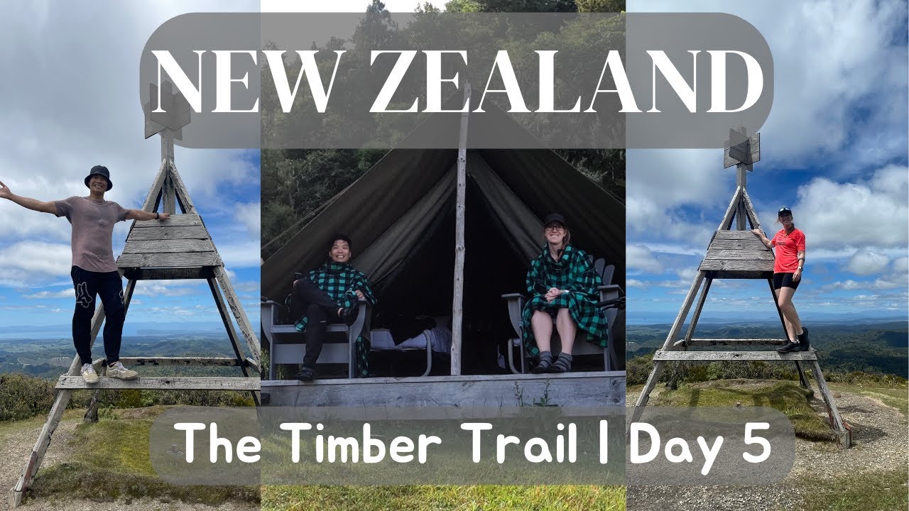 The Pureora Timber Trail | Part 1 | Day 5 - YouTube