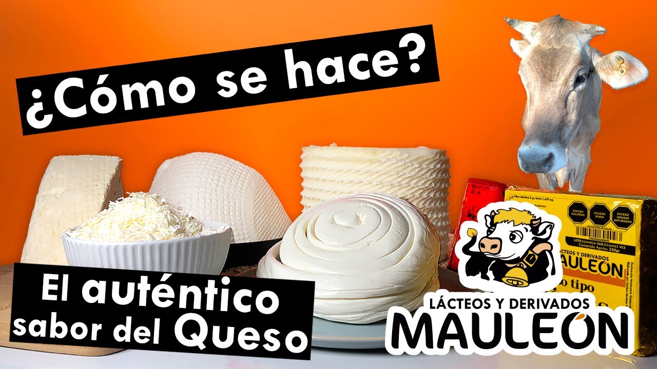 🧀 Así es como se hace el queso de leche de Vaca en Acayucan Veracruz 🐮 ...