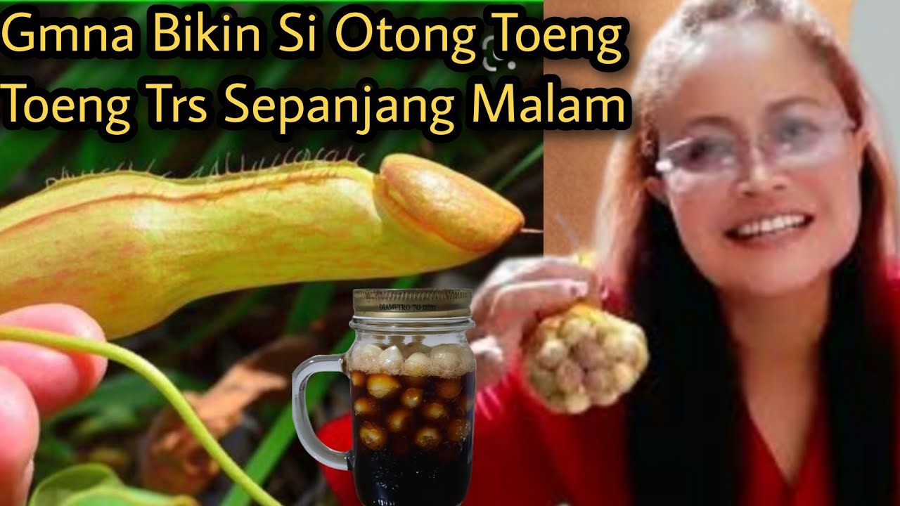 Istrimu Nackal Karna Otongmu Lemas [[membuat Fermentasi Bawang Putih