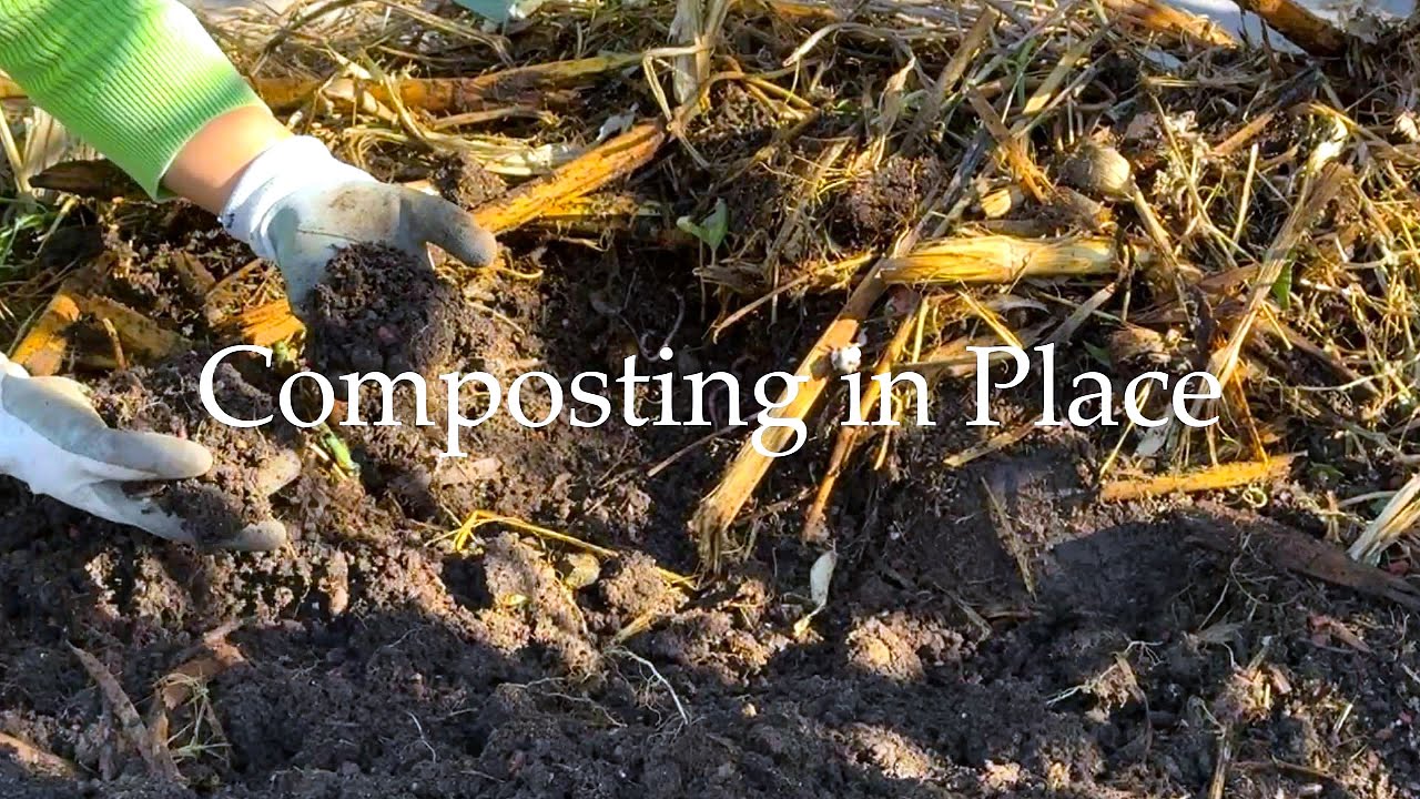 Composting in Place | Effortless Composting Method that Cost You ...