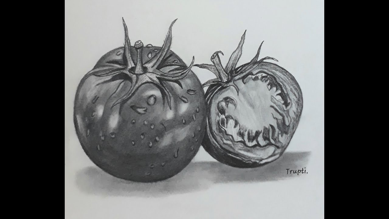 How to Draw a Tomato for Beginners | Tomato Drawing Part-2 | Still Life ...
