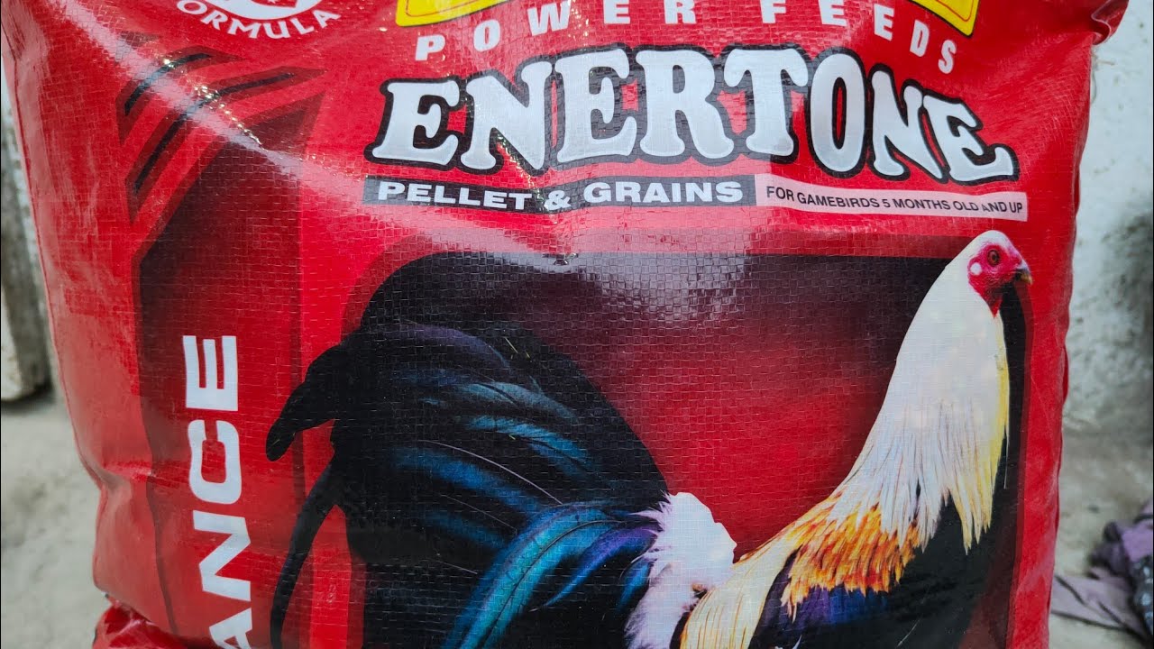 Enertone Maintenance feeds at simpleng manukan - YouTube