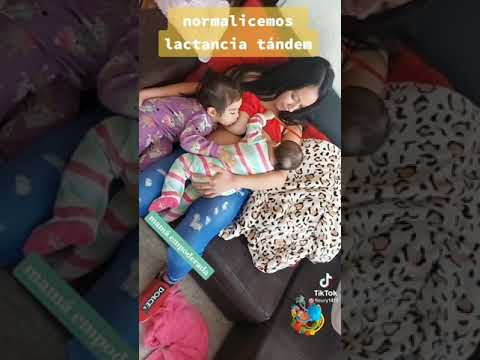 Lactancia Materna tik toks 2 - YouTube