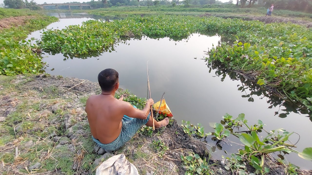 Hook Fishing By Village Smart Boy | Puti Fishing | Best Hook Fishing By ...
