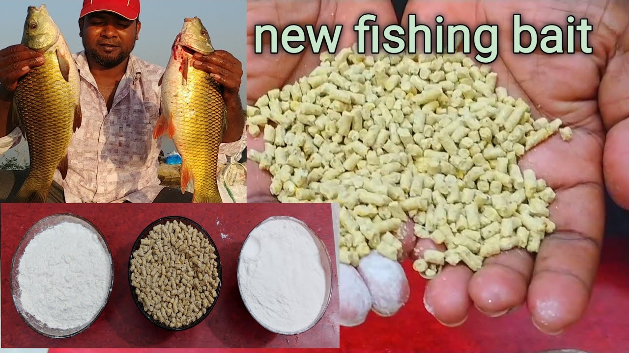 How to make bait for fishing | fishes all type for hook bait | Fishing ...