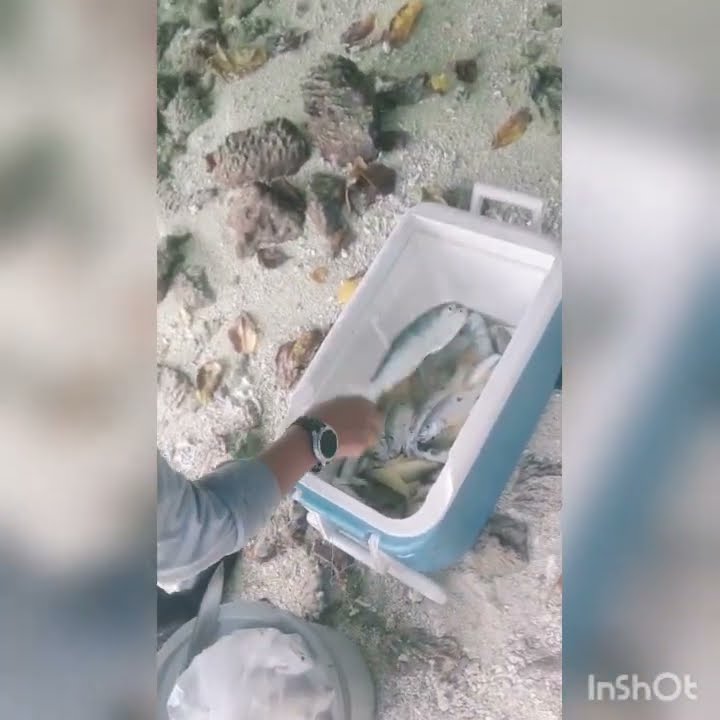 Part2- Fishing picnic at south dumping area. - YouTube