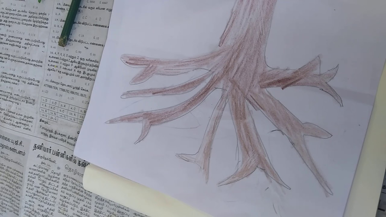 How to draw and paint a super tree painting - YouTube