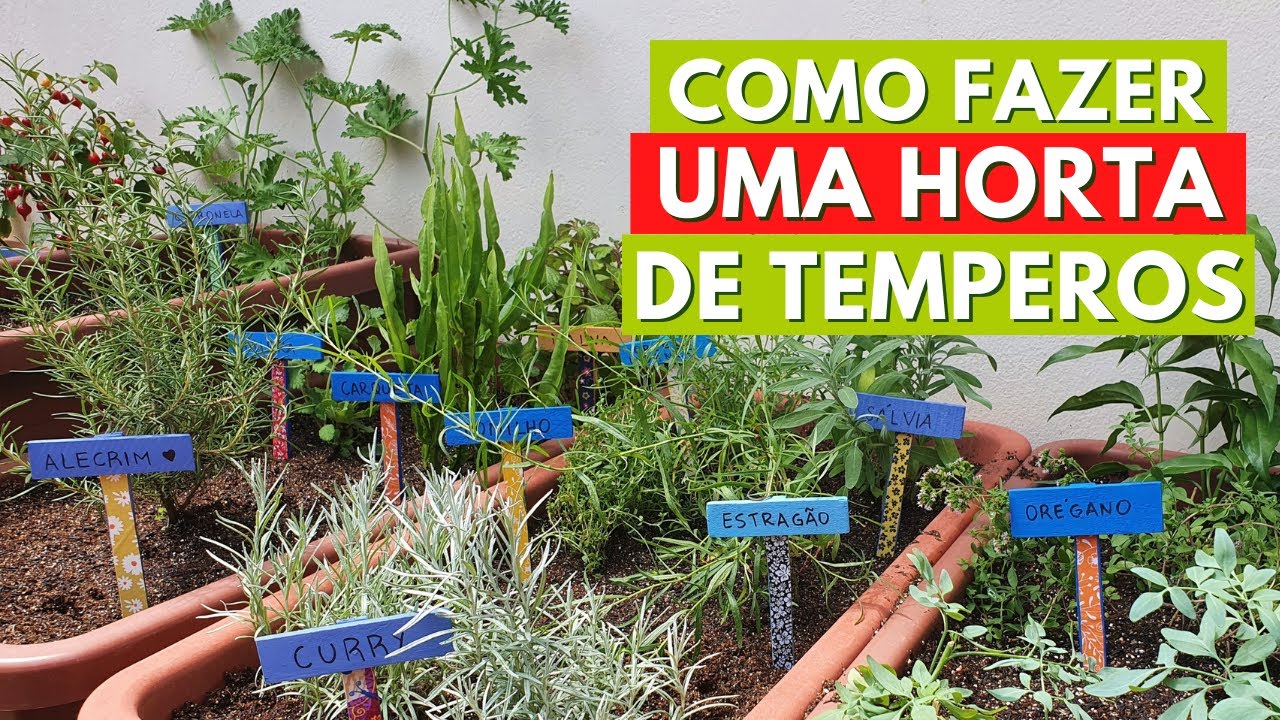 COMO FAZER UMA MINI HORTA DE TEMPEROS EM VASOS! MUITAS ERVAS AROMÁTICAS ...
