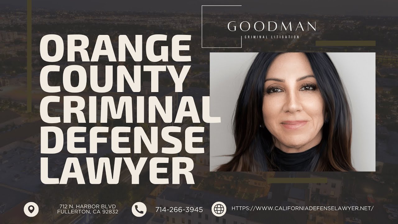 Jacqueline Goodman’s Fight for Justice: Criminal Defense and Systemic ...