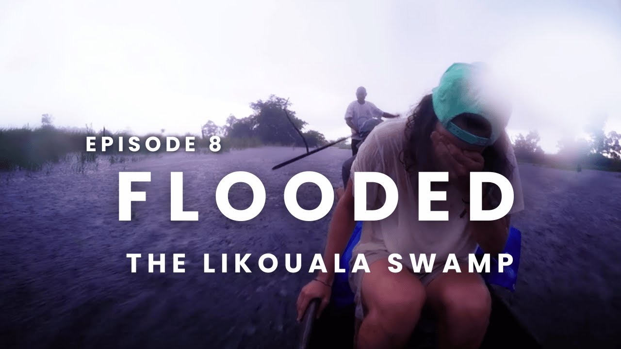FLOODED: THE LIKOUALA SWAMP - hitched.congo - Episode 8 (S1) - YouTube