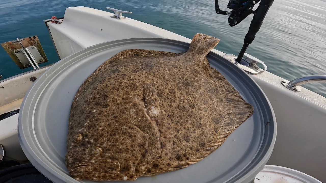 Boat Fishing For Turbot and Brill! - How Many Did We Actually Catch ...
