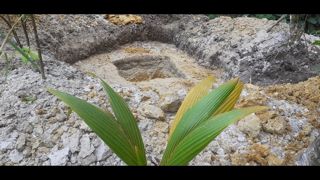 building a backyard fishpond - YouTube