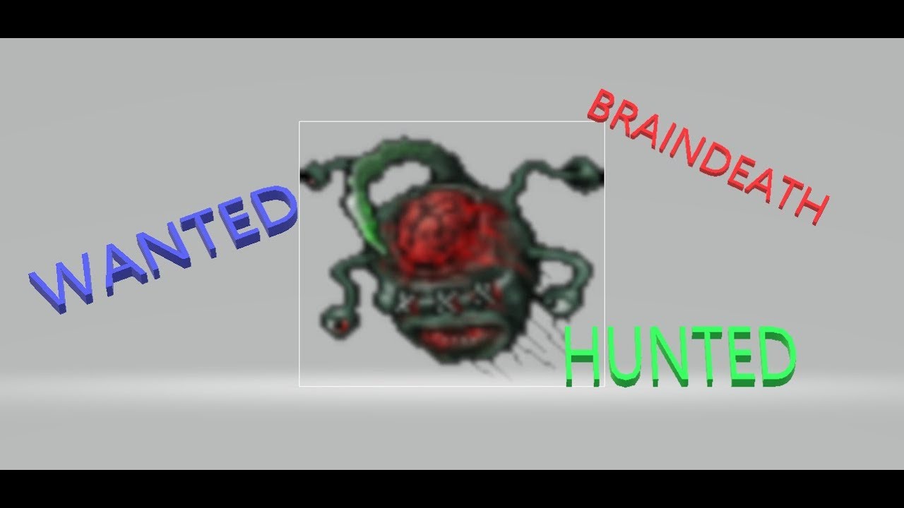 Tibia's Braindeath Hunt@Rp 185 - YouTube