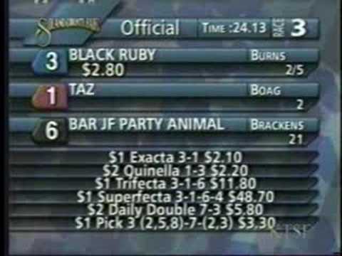 Black Ruby: Champion Racing Mule - YouTube