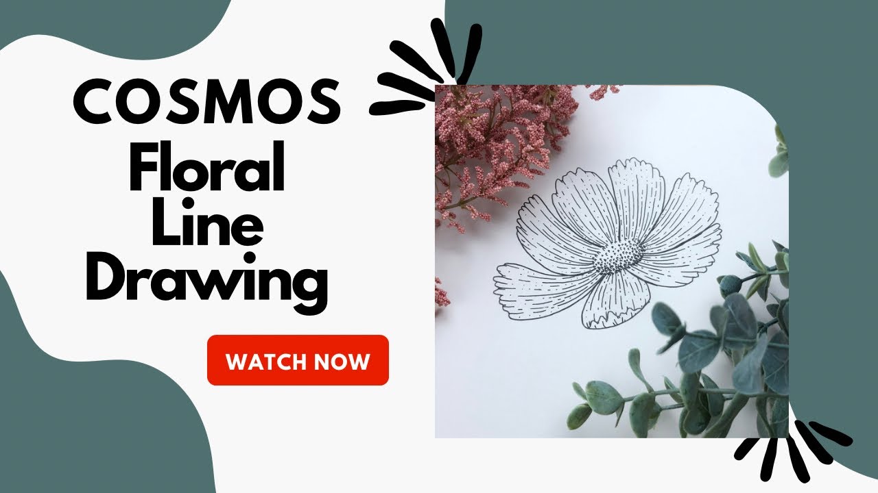 Floral Line Drawing Tutorials - Cosmos Flower - How to add detail lines ...