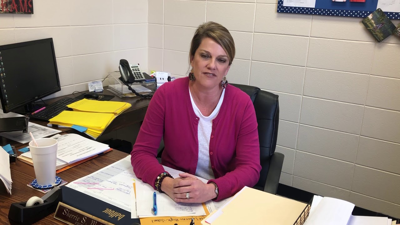 School Counselor Spotlight (3) National School Counseling Week - YouTube
