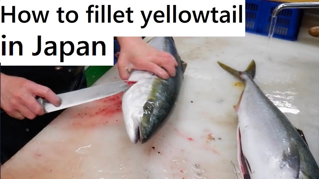 How to fillet yellowtail in Japan. - YouTube