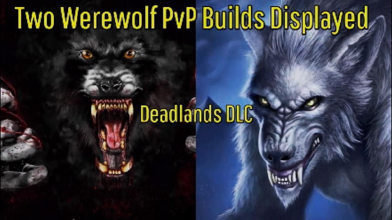 ESO - Two Werewolf PvP Builds Stam Sorc Packleader/Necromancer DoT ...