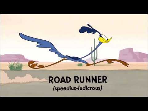 Wile E Coyote And Road Runner In \