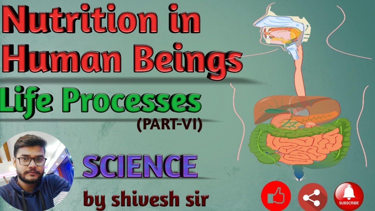 Nutrition in Human Beings | Life Processes(PART-VI) | Biology | Science ...