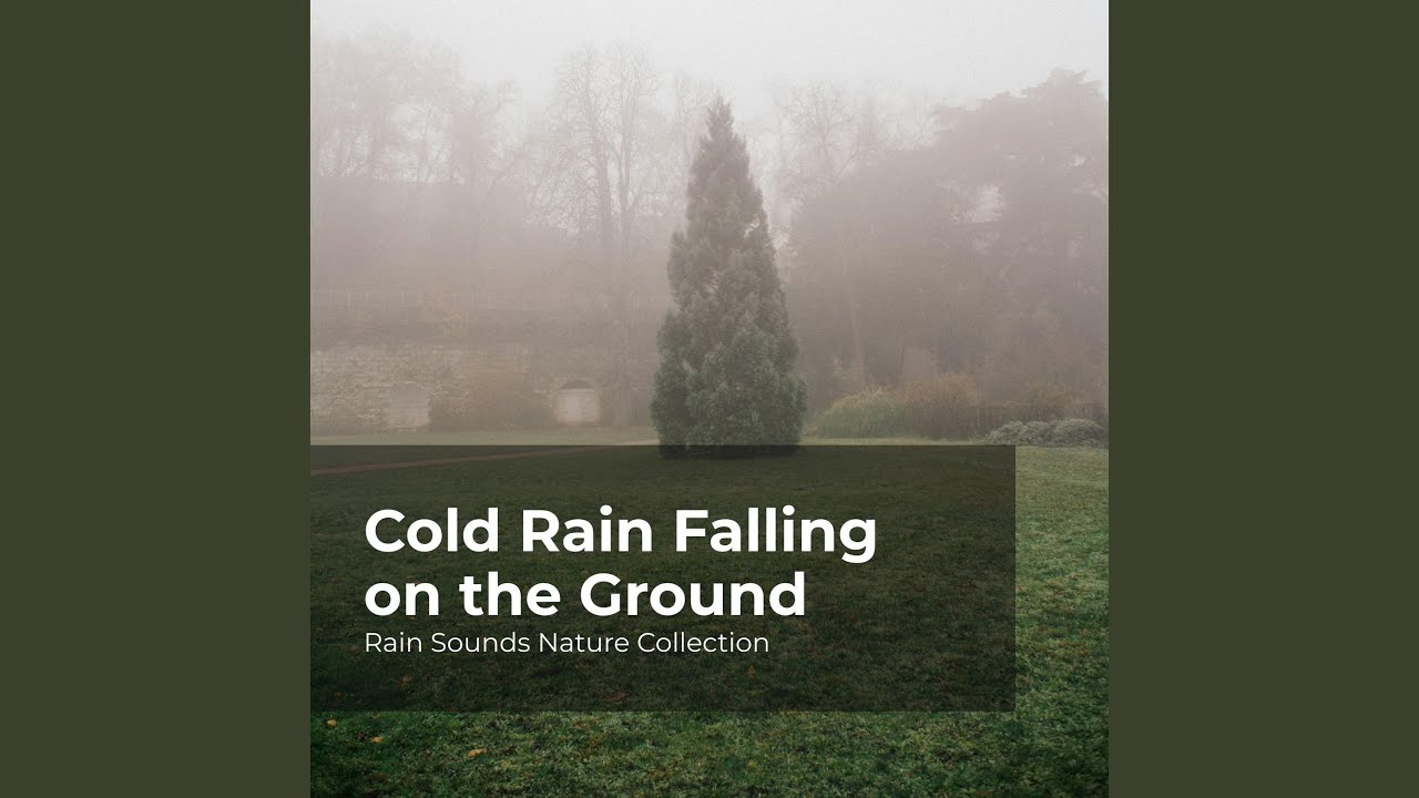 Mellow Nature Rain - YouTube