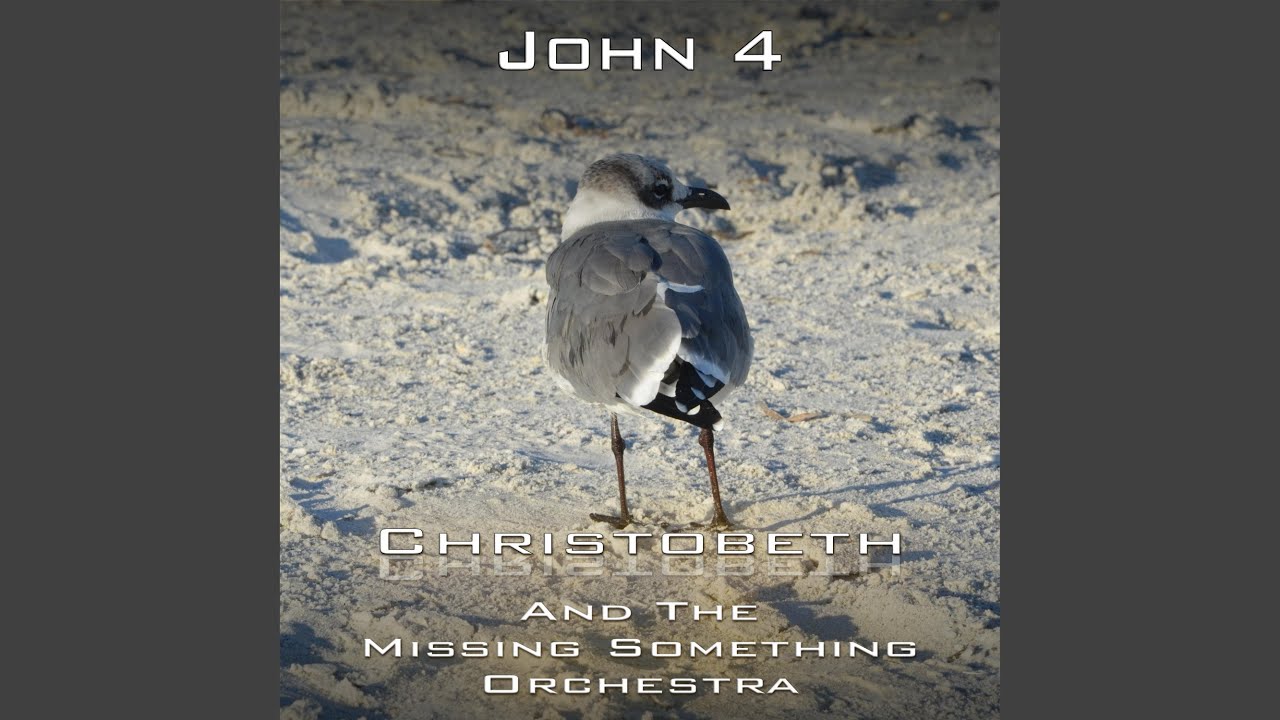John Chapter 4 - YouTube