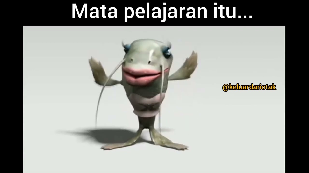 👀👀😳(meme ikan lele bertanya) - YouTube