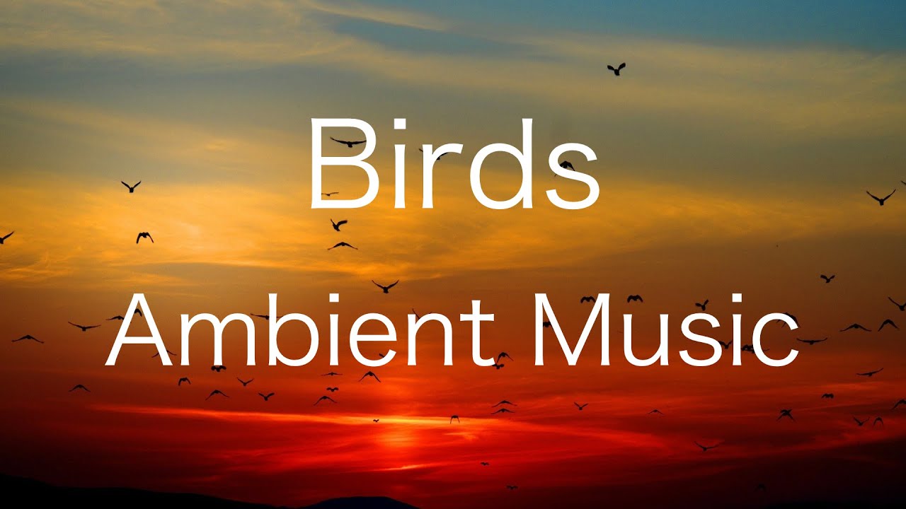 Ambient Music - Birds [ Relaxing, Meditation, Study, Sleep , Zen, Yoga ...