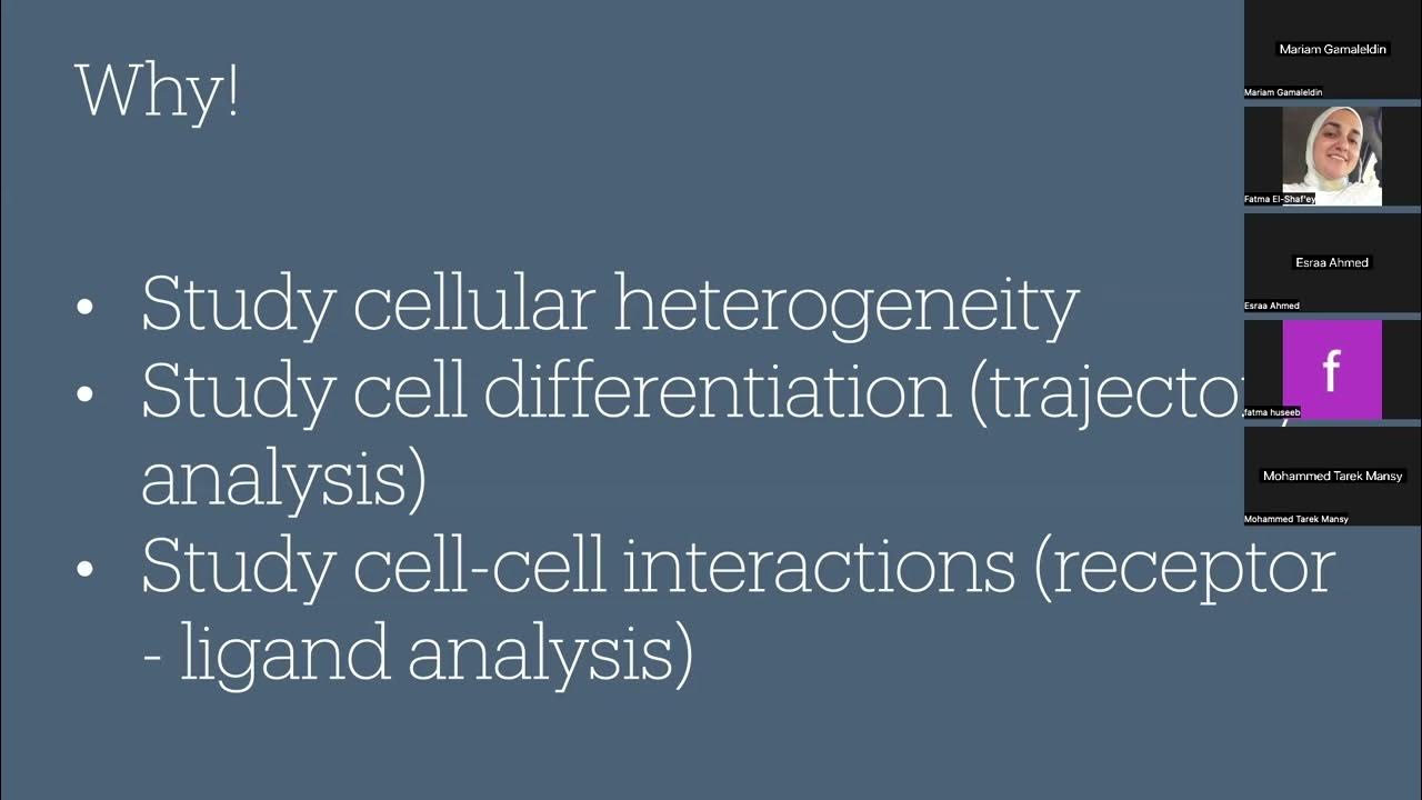 Computational Biology Career Development Workshop Day 2 Dr Omar Salem Youtube