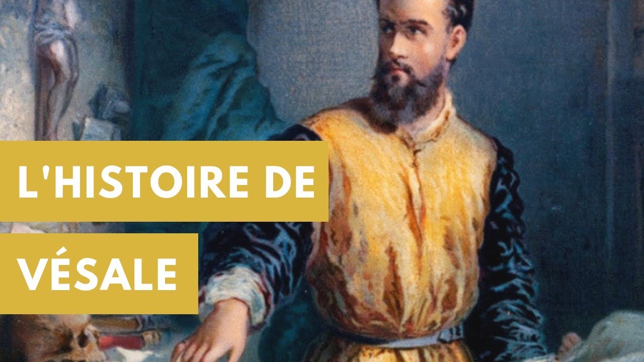 L'Histoire de Vésale #HistoireDesSciences 2 - YouTube