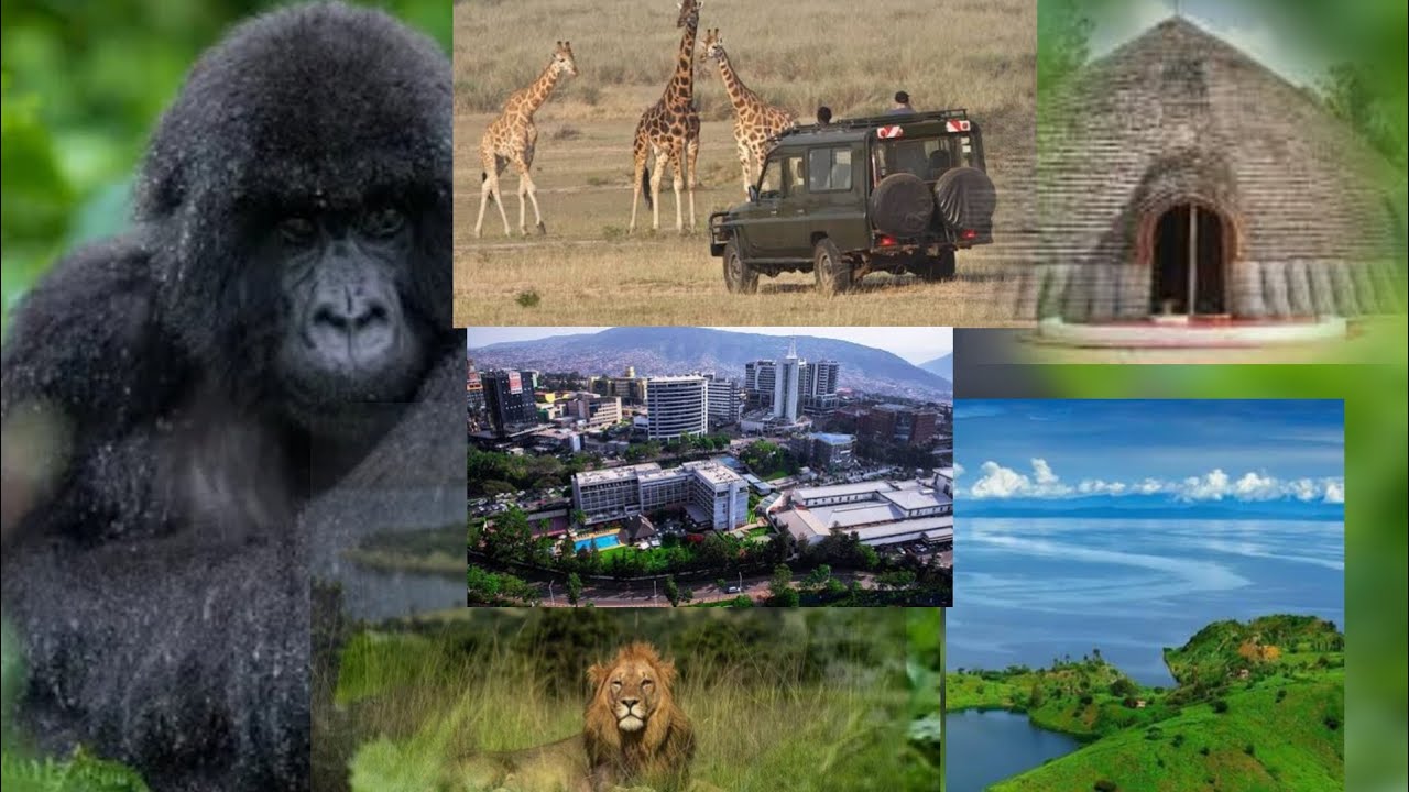 Top 5 Most beautiful places in Rwanda you have to visit 🤔 - YouTube