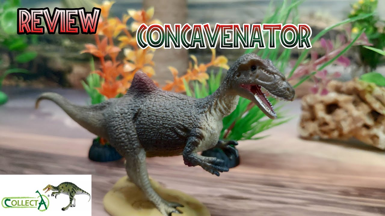 REVIEW CONCAVENATOR DINOSAURIOS!!! \\ COLLECTA 2011 - YouTube