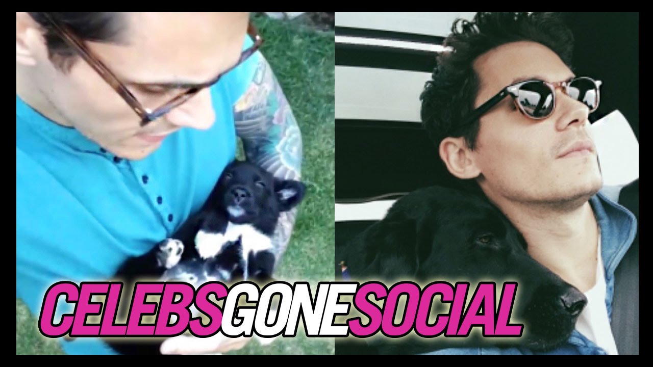 John Mayer Sings to Dogs -- Celebs Gone Social for Aug. 4, 2014 - YouTube