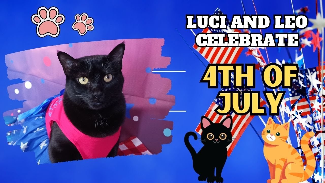 Luci and Leo Celebrate 4th of July - YouTube