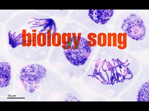 biology song - YouTube