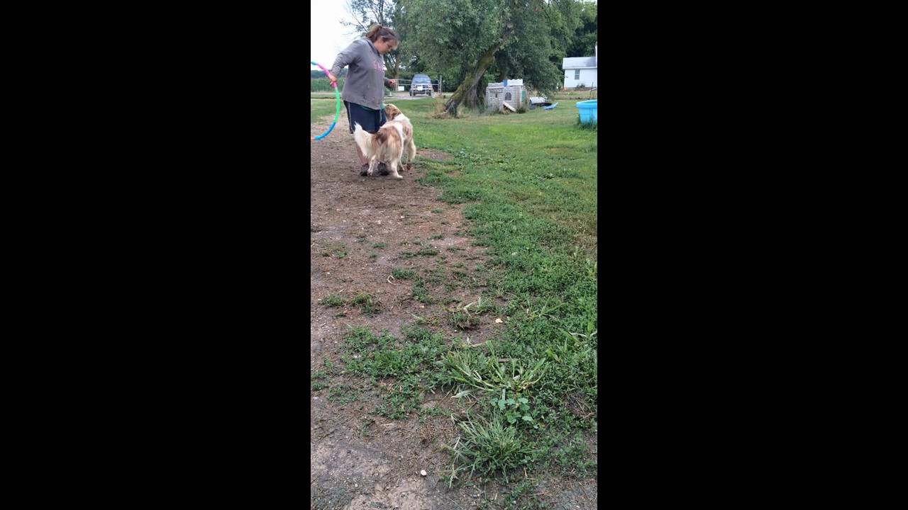 hula hoop jump step 1 - YouTube