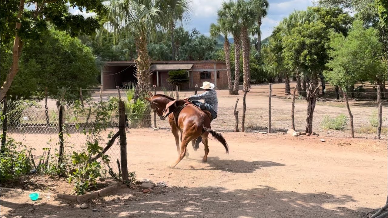 QUE LE PASO A MI COMPA RANCHERO EN ESTA VISITADA QUE LE DI A SU RANCHO ...