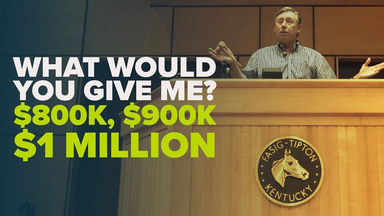 LIFE OF A HORSE AUCTIONEER | Tom Biederman - YouTube