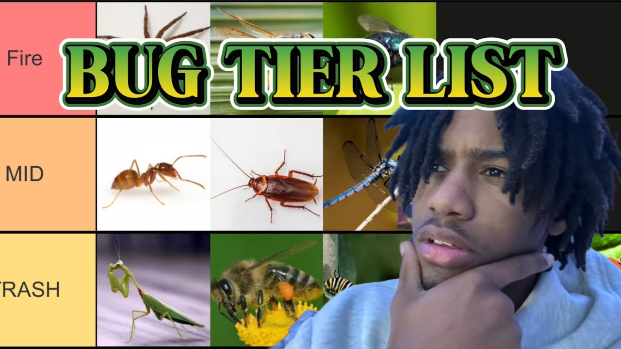 THE BUG TIER LIST - YouTube