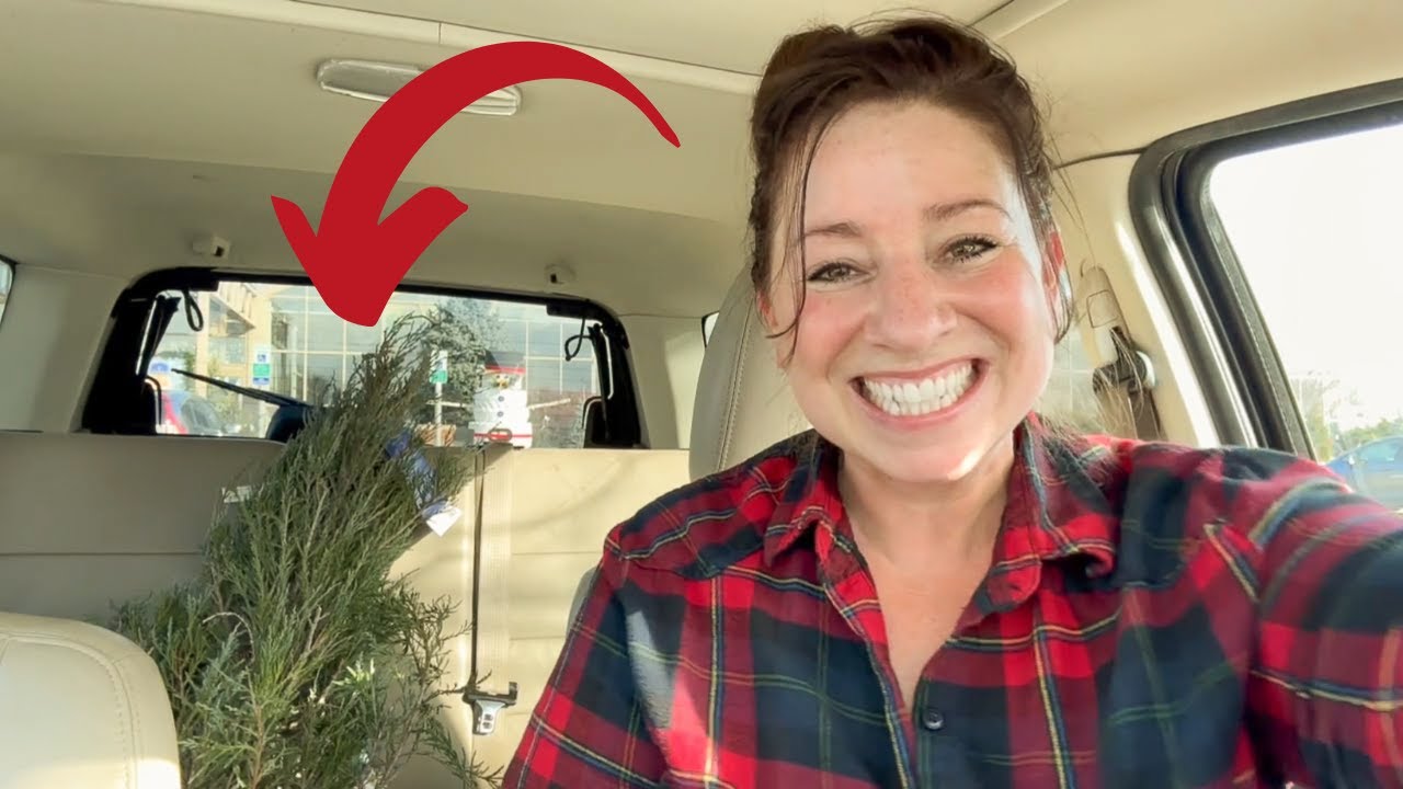 A Ninety % Native Christmas Tree - YouTube