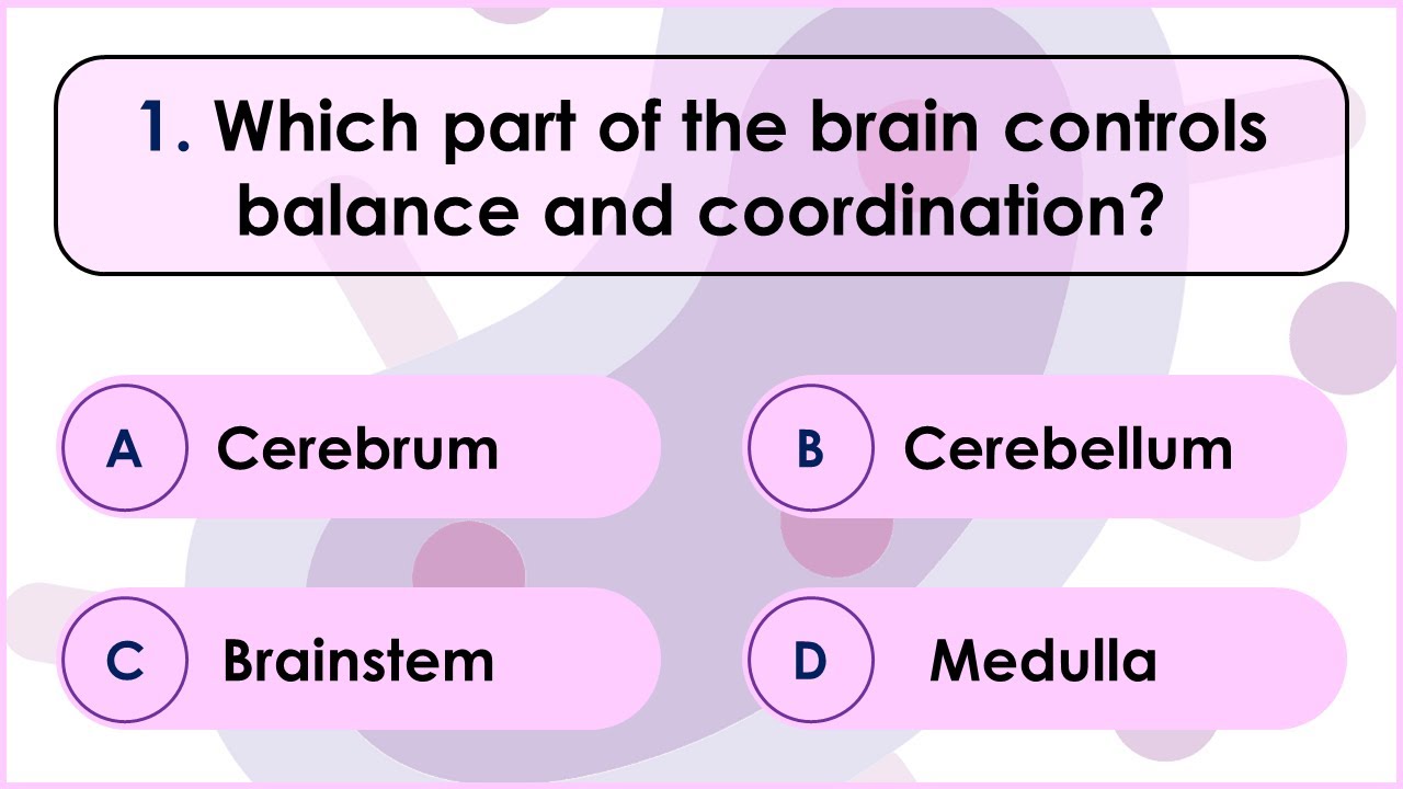 Biology Quiz | 15 Easy Biology Questions and Answers | @AAtoonsStudy ...