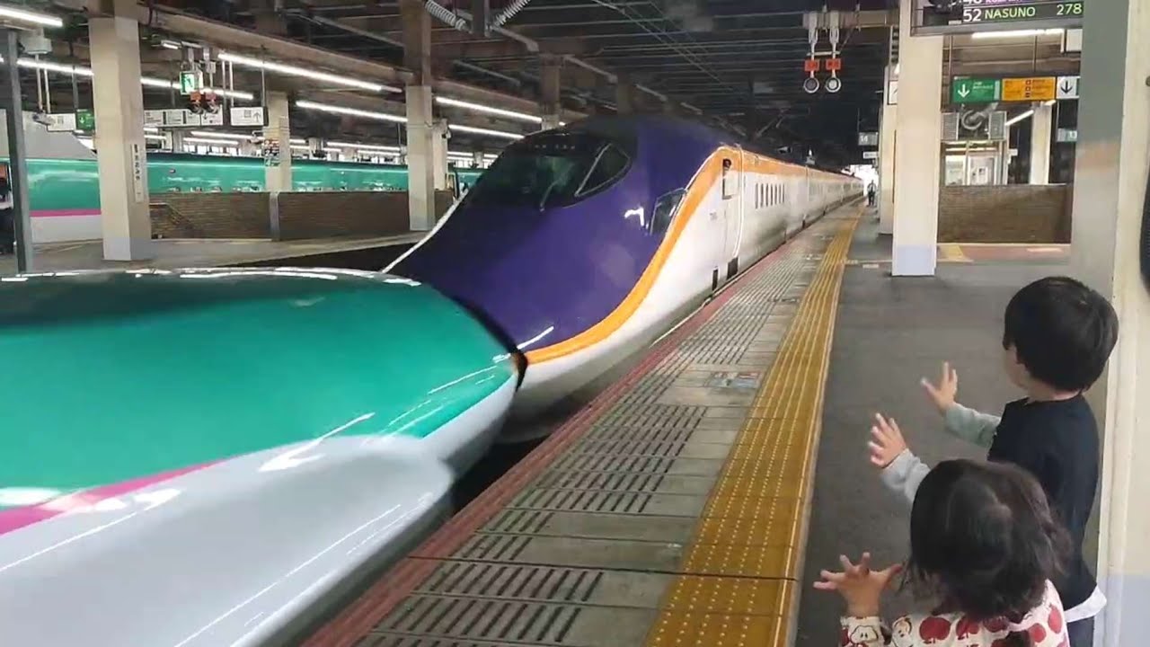 【E8系つばさ】色んな新幹線がたくさん！！H5系はやぶさ/E6系こまち/やまびこ/かがやき/とき - YouTube
