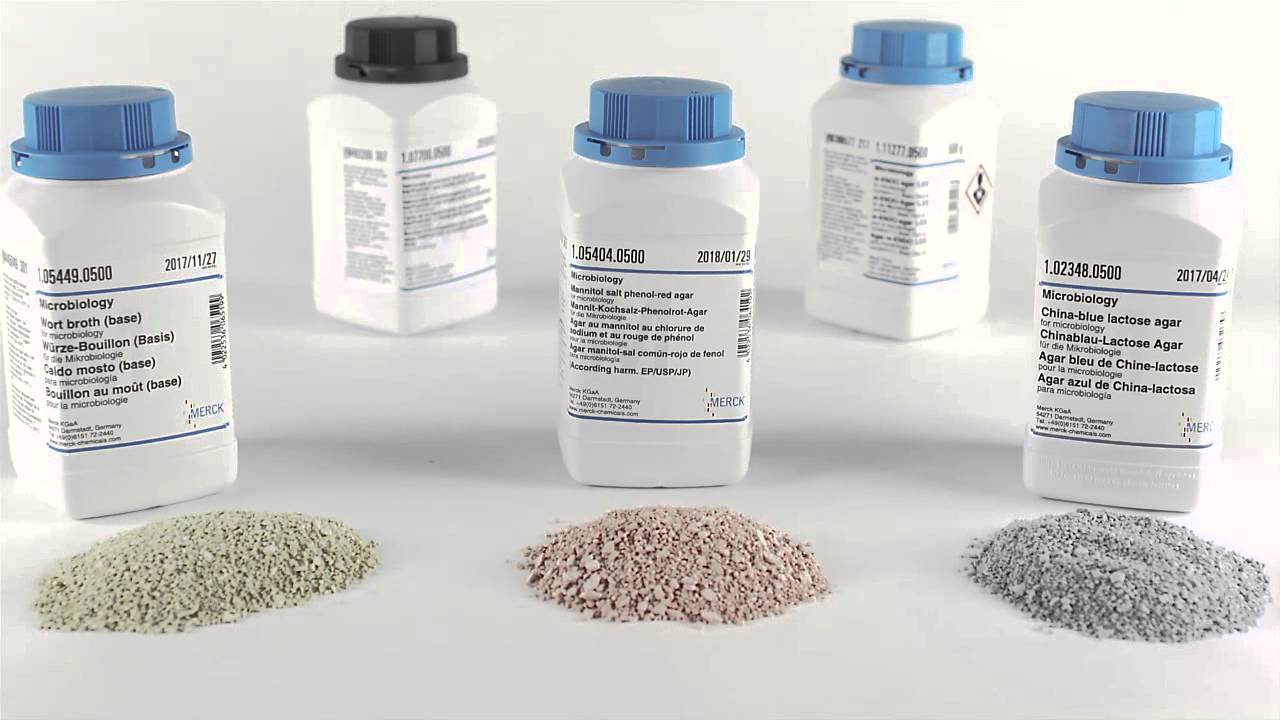 Granulated Culture media - A sweet solution for safety - YouTube